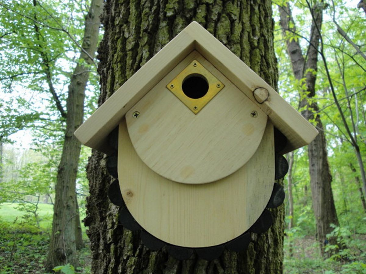 Gestion du parc arboricole
